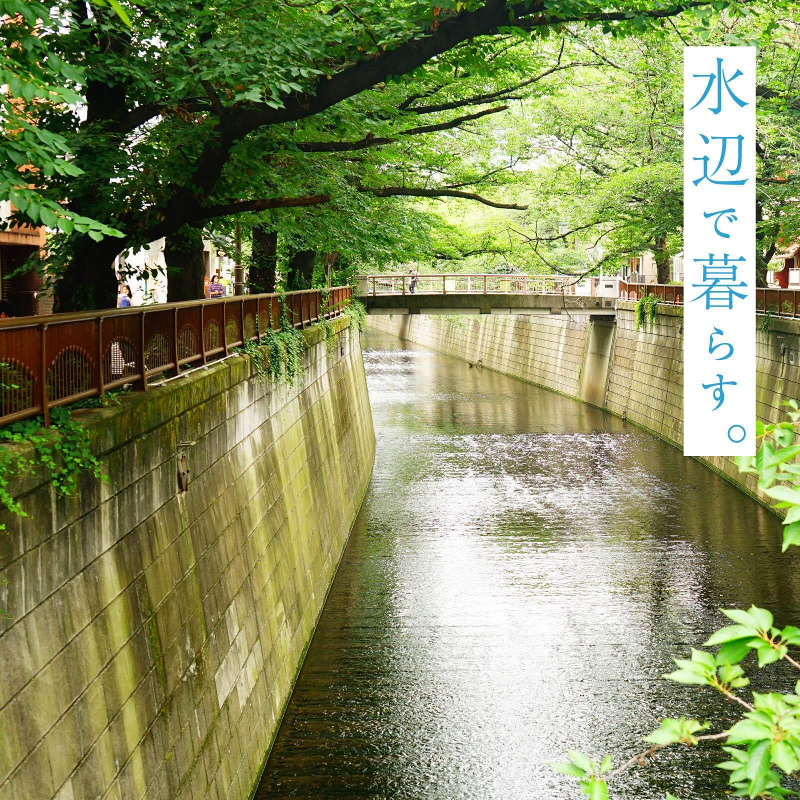 水辺の空気感をあなたに。独特のゆるやかな空気が流れる、川や海に近い物件MIX。【cowcamo】